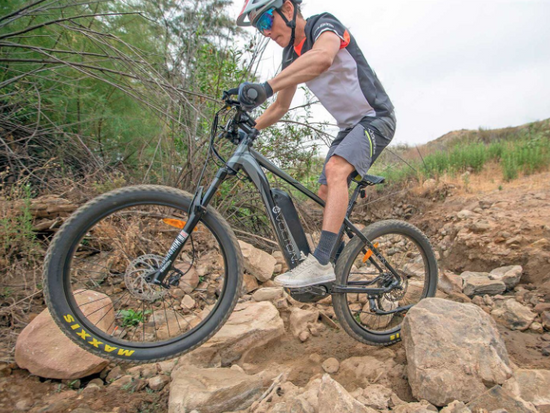 E-Bikes for sale | Vinxs E-bike – Vinxs E-Bike